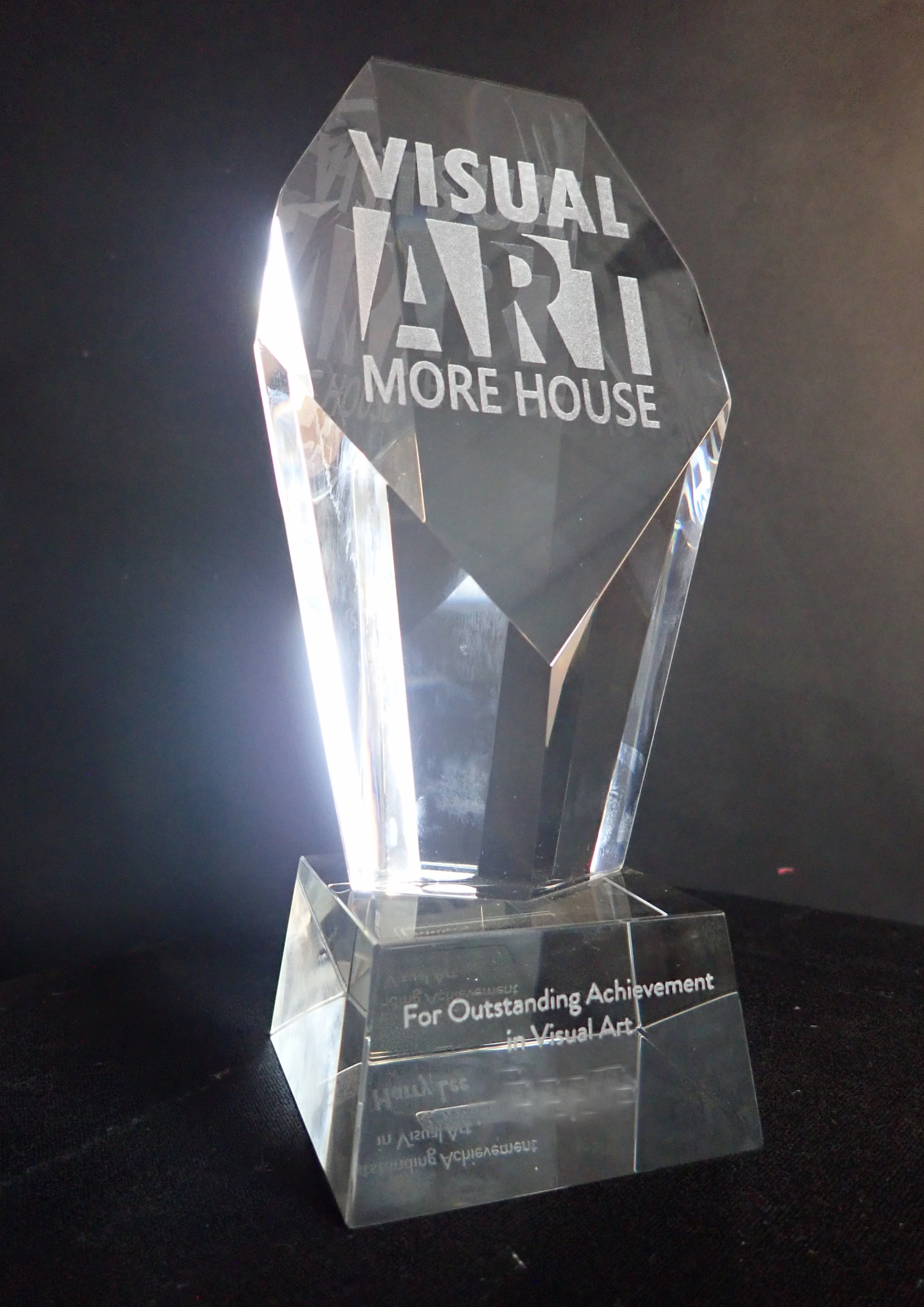 The Annual Award for Outstanding Achievement in Visual Art – Visual Arts